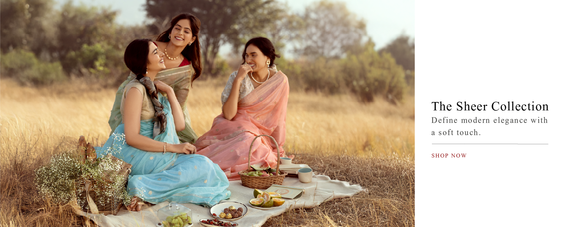 Shop Fine Nalli Silk Sarees Online at Best Price – Nalli Silk Sarees ...