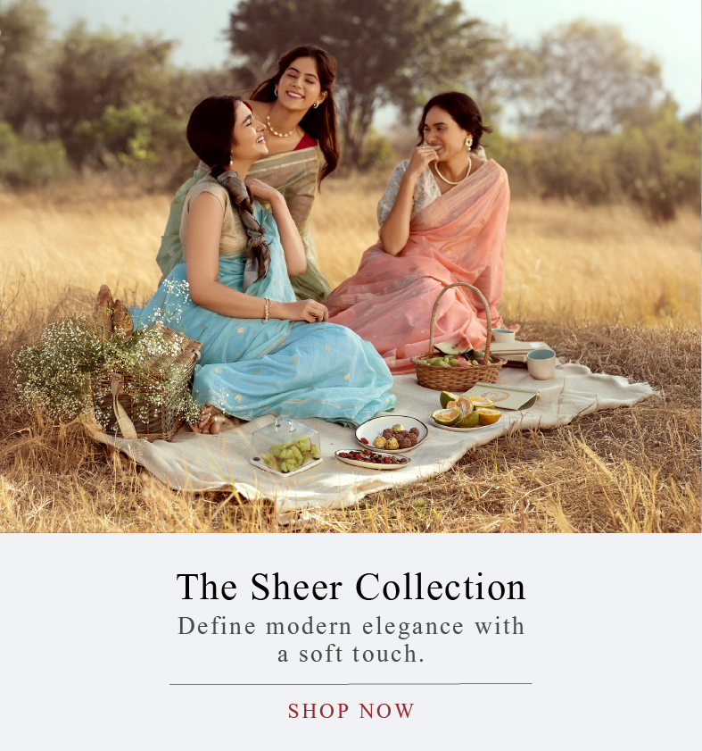 Shop Fine Nalli Silk Sarees Online at Best Price – Nalli Silk Sarees ...